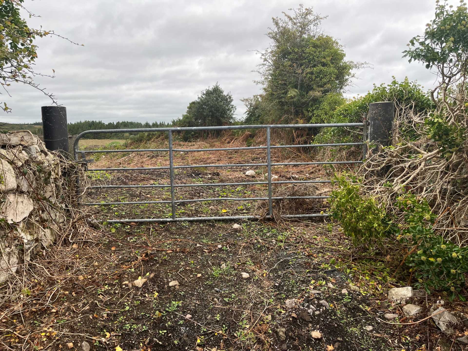 Site @Tonabrocky, Rahoon, Galway – Collerans Auctioneers