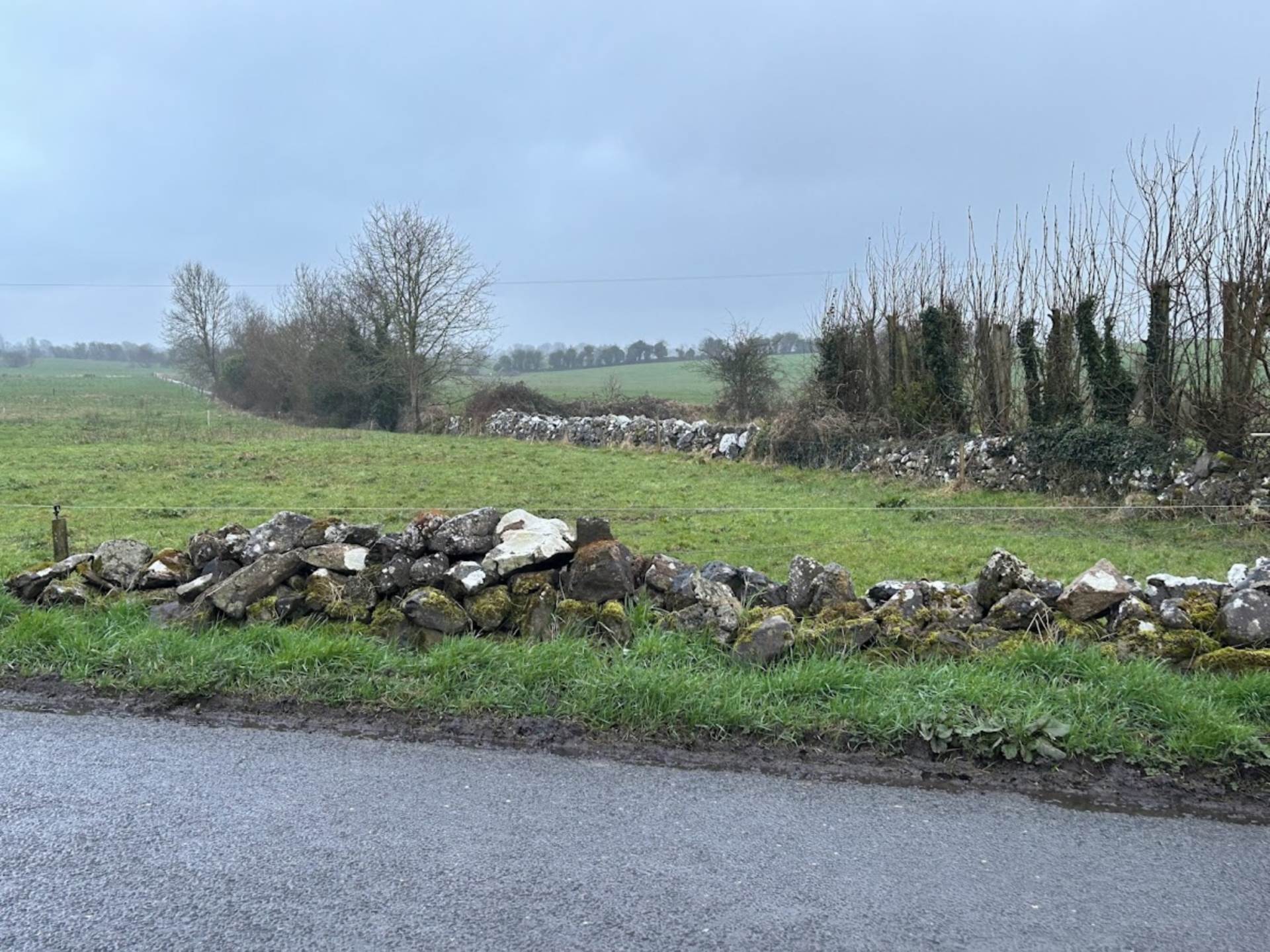 Ballingirlough, Bruff, Co. Limerick - REA Dooley Group
