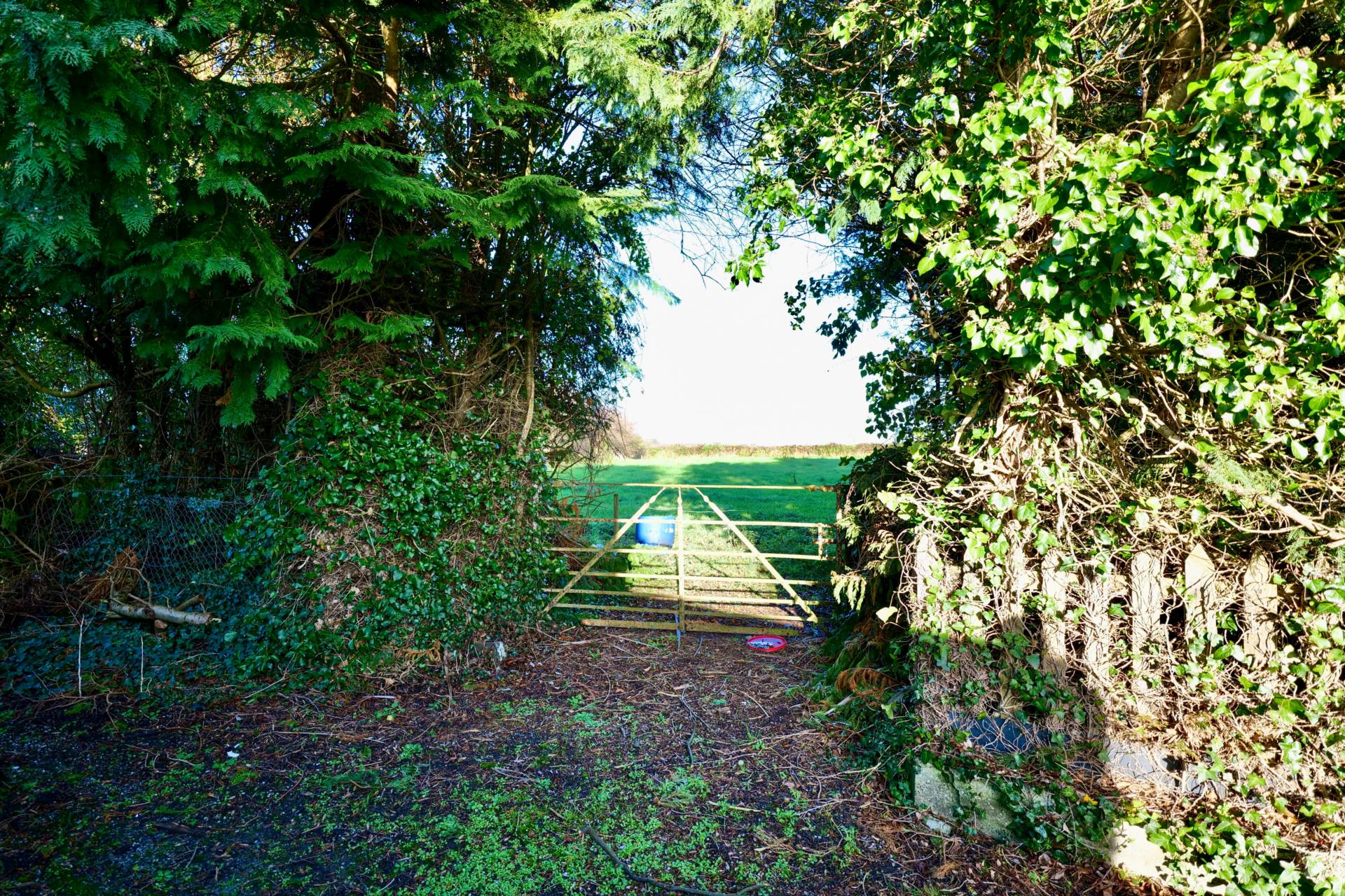 Raheenagh,Ballagh, Co. Limerick. V42 W025 - REA Dooley Group