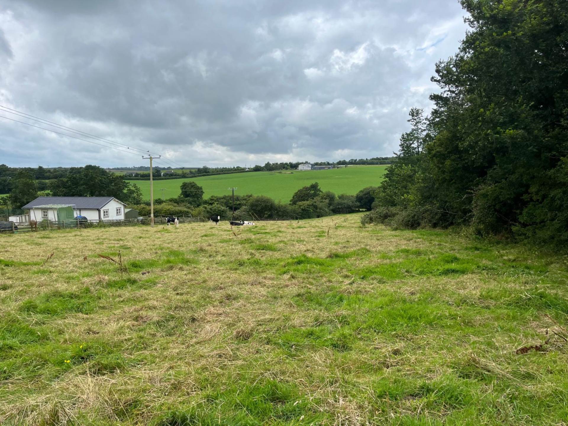 Clonganny, Ballygarrett, Gorey, Co. Wexford - Quinn Property