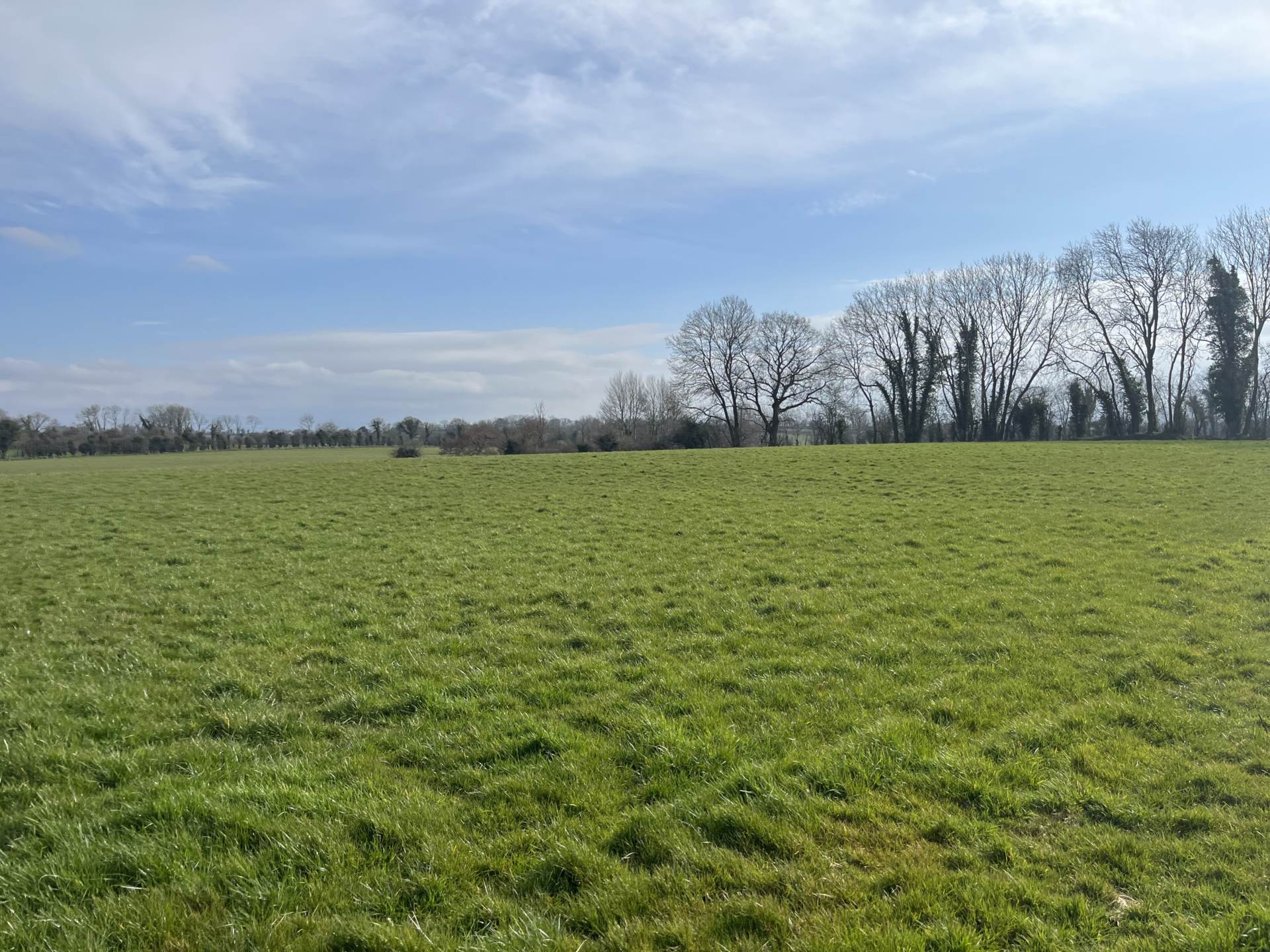 Williamstown, Rathvilly, Co. Carlow - Quinn Property