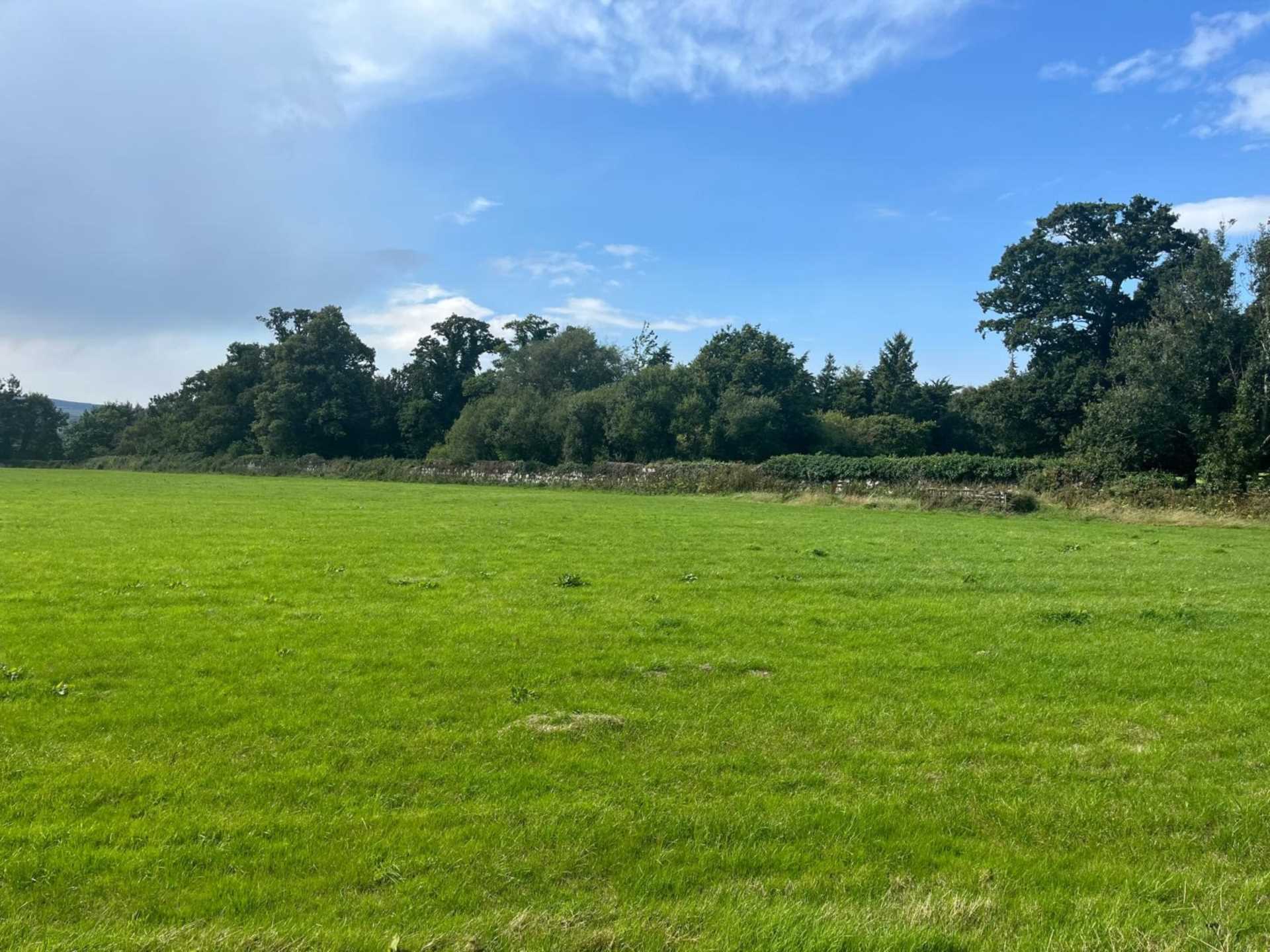 Ballynagrane, Borris, Co. Carlow - Quinn Property